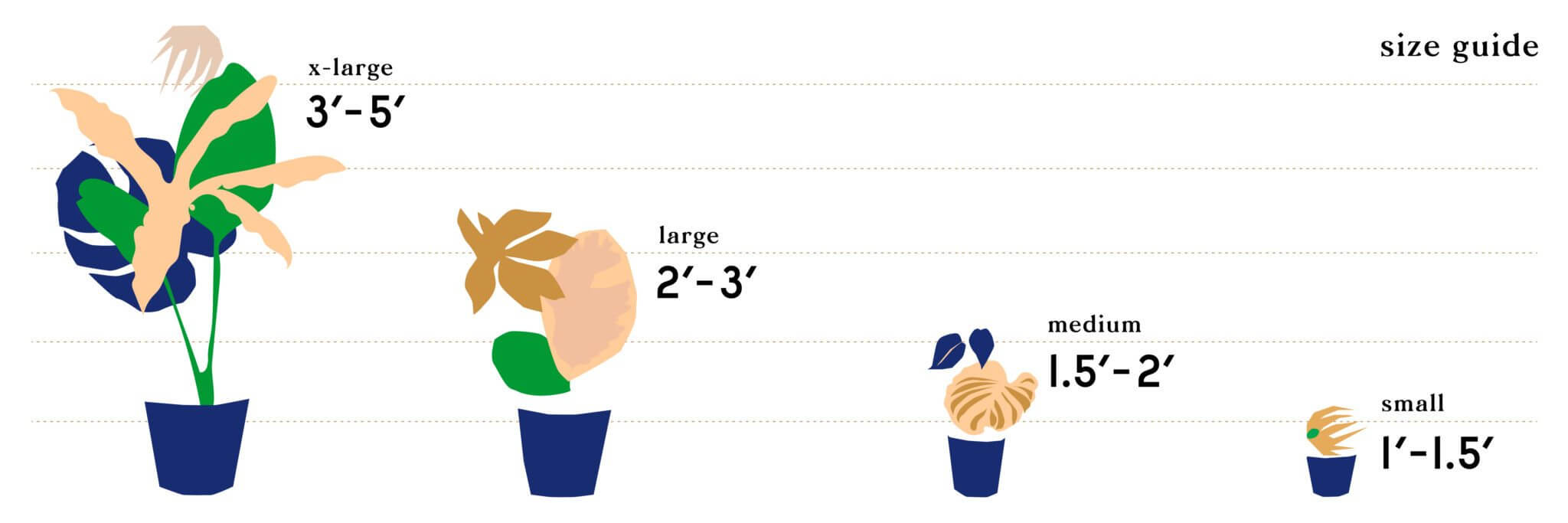 Shop indoor plants | Bloomscape