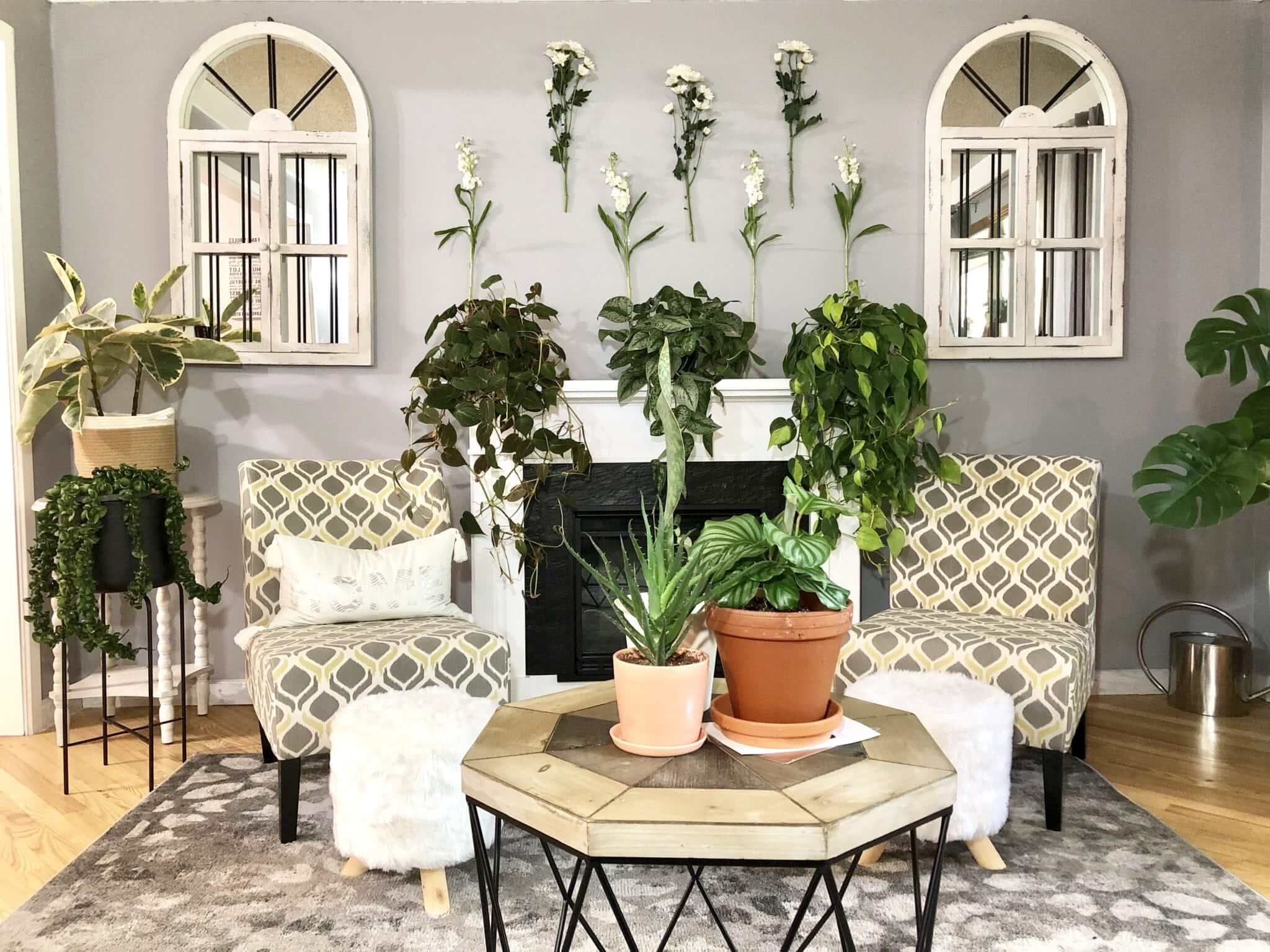 A Modern Boho Plant Paradise in Chicago | Bloomscape