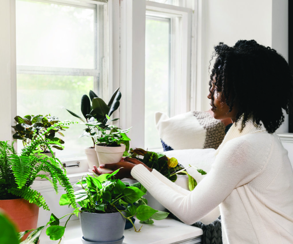 5 Telltale Signs of Overwatered Plants | Bloomscape