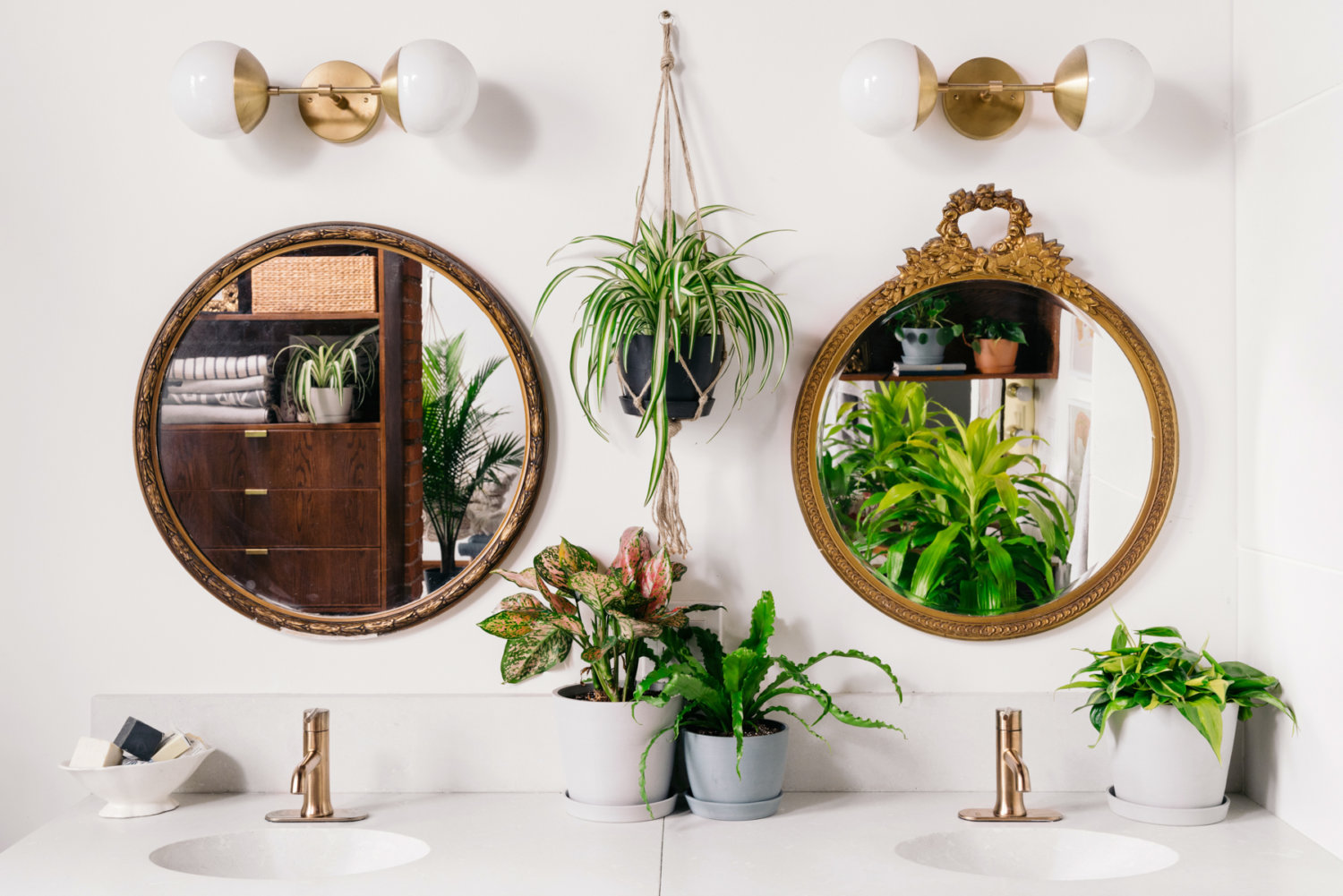 Best Plants for the Bathroom | Bloomscape