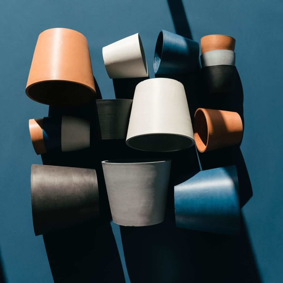 How to Choose a Pot that Complements Your Plant - Bloomscape