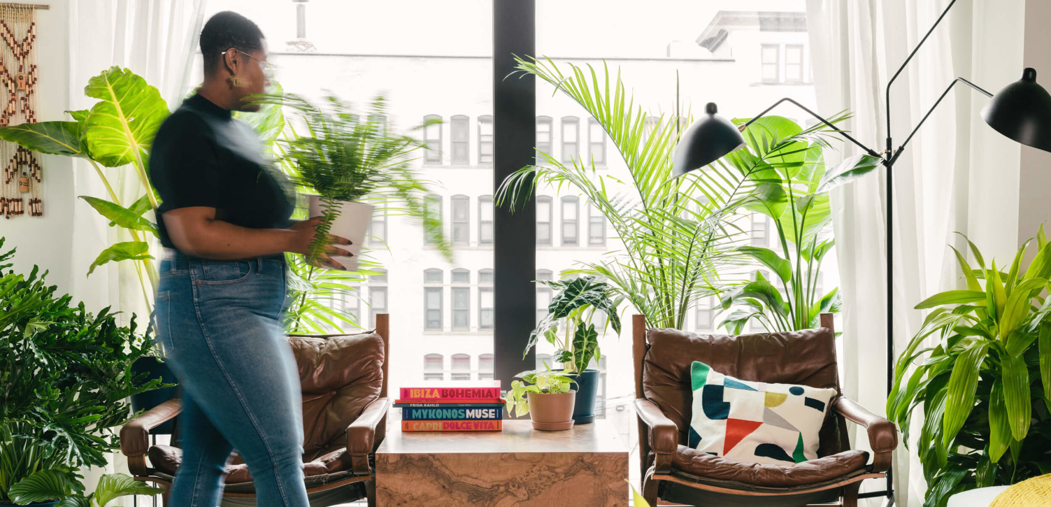 Bloomscape | Home Ready Plants Delivered to Your Door