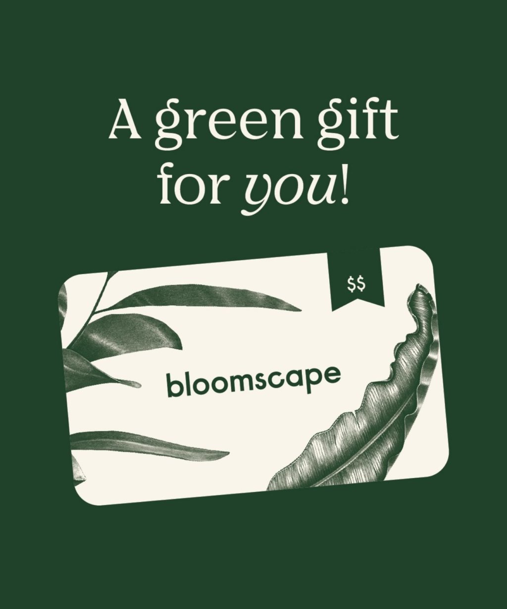 Potted Plants and Plant Gifts Delivered to Their Door | Bloomscape
