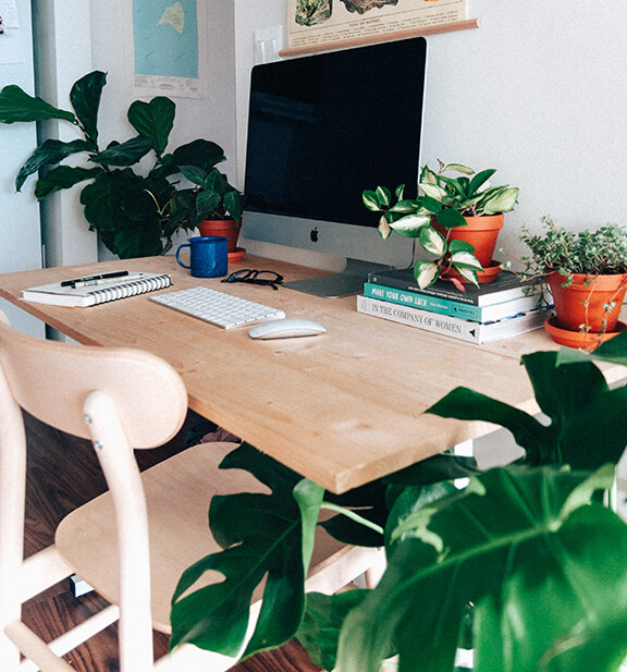 Bloomscape | Living room ready plants delivered to your door