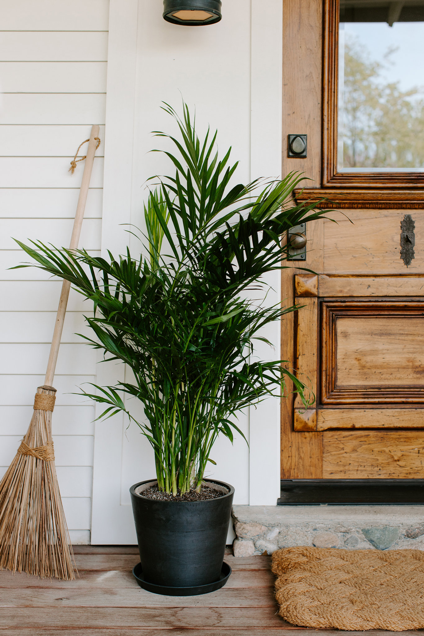 Buy Ecopots Round Pot - 12" | Bloomscape