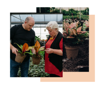 About Our Pots | Bloomscape