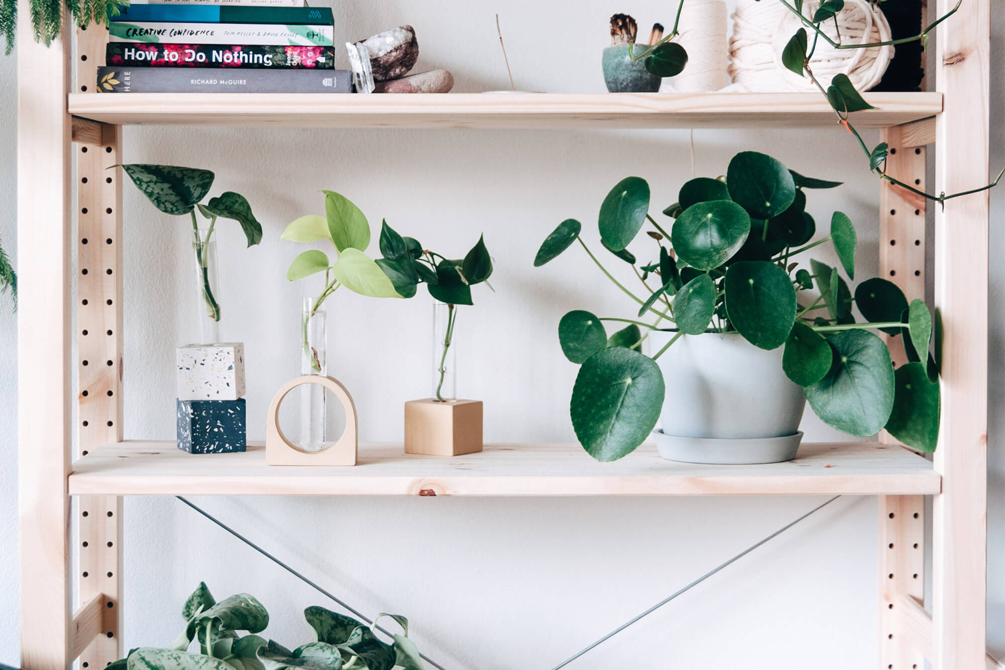 Accessories - Bloomscape