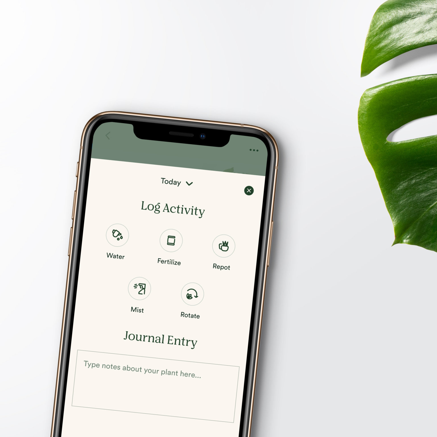 Vera Plant Care App | Bloomscape