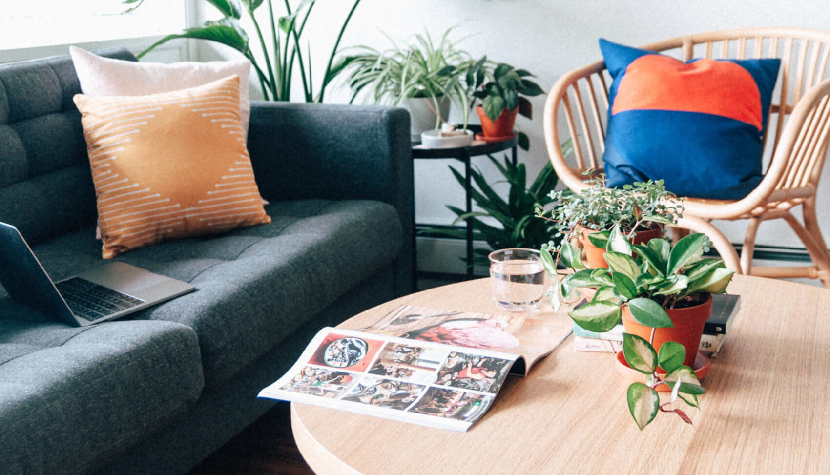 How To Recharge This Fall | Bloomscape