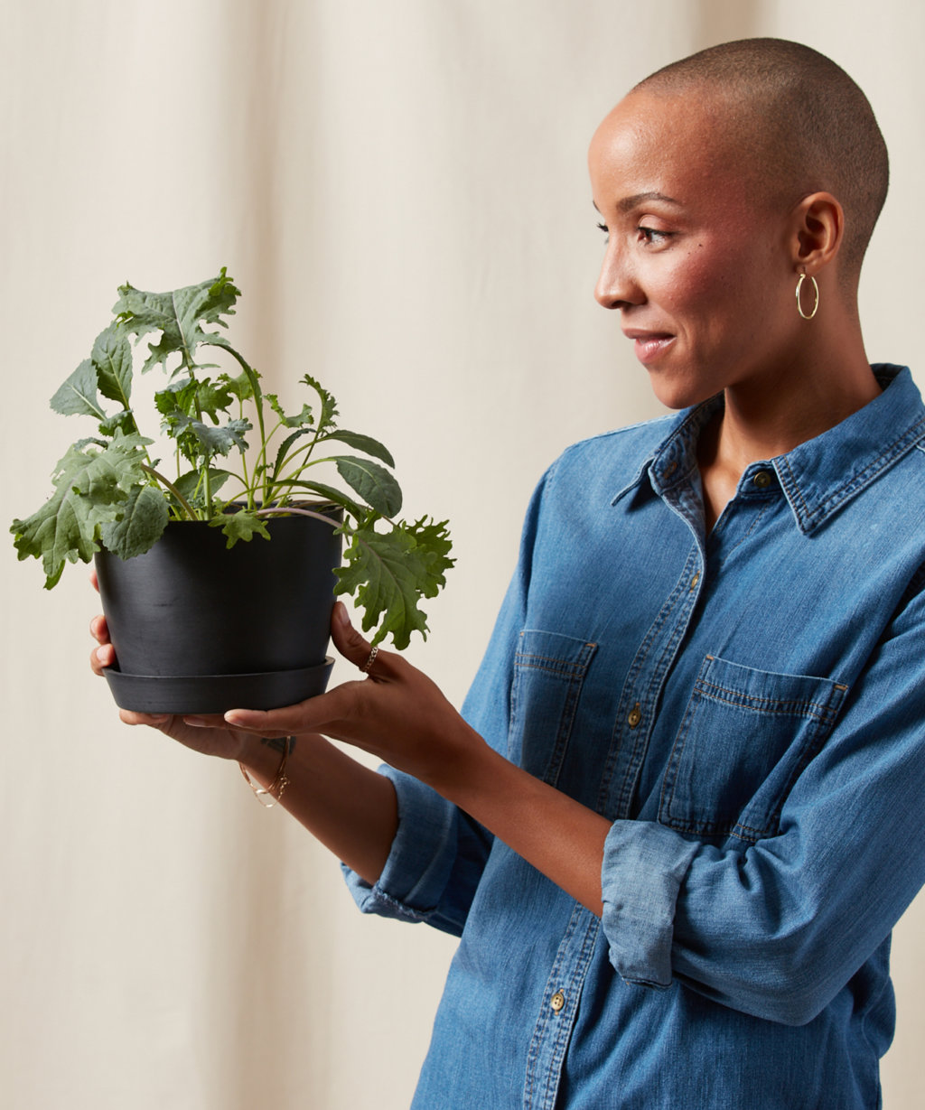 Craft a Tasty Kale Cocktail With Standby Detroit’s Joe Robinson ...