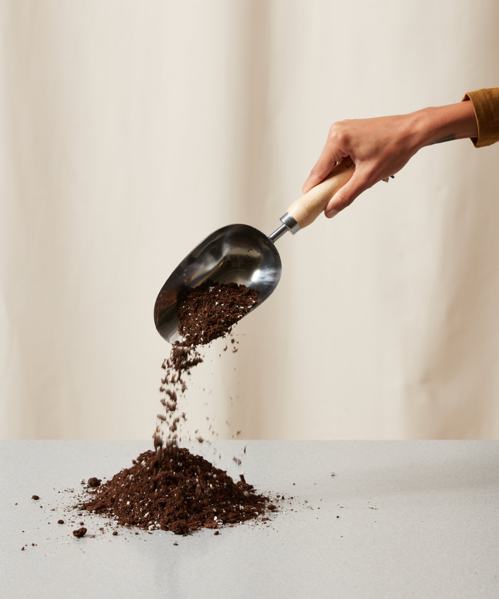 Soil Scoop | Bloomscape