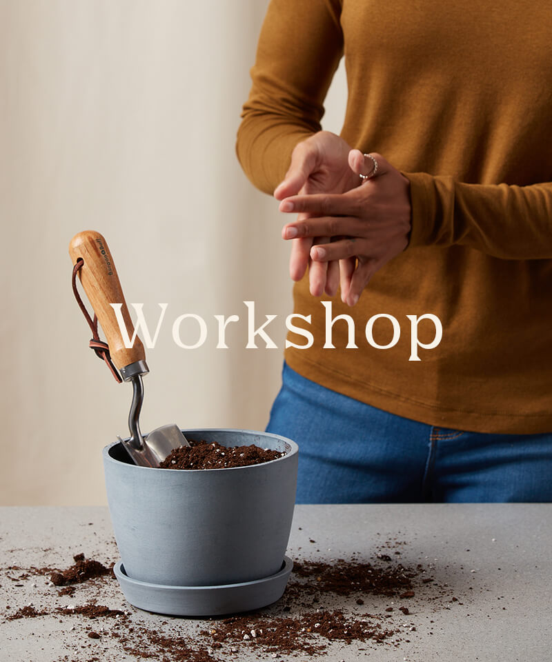 Virtual Plant Care Workshop FAQs - Bloomscape