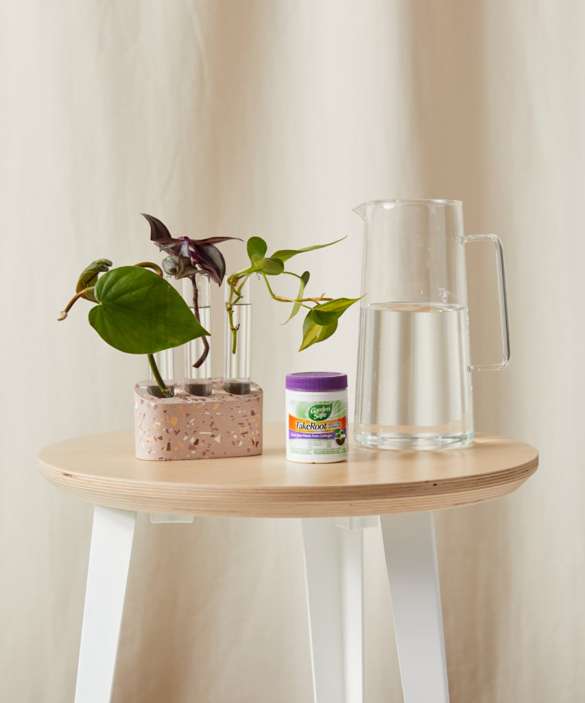 Multi-Tube Propagation Kit | Bloomscape