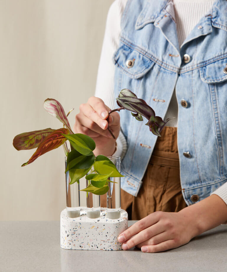 Multi-Tube Propagation Kit | Bloomscape