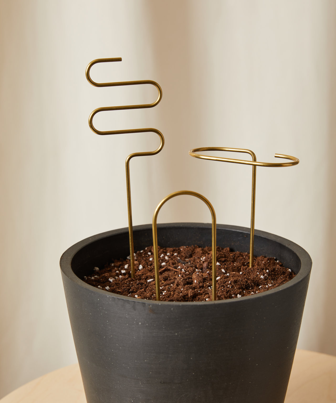 Buy Plant Sticks | Bloomscape