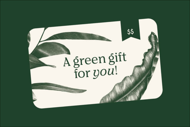 Potted Indoor Plant Gifts for Delivery | Bloomscape