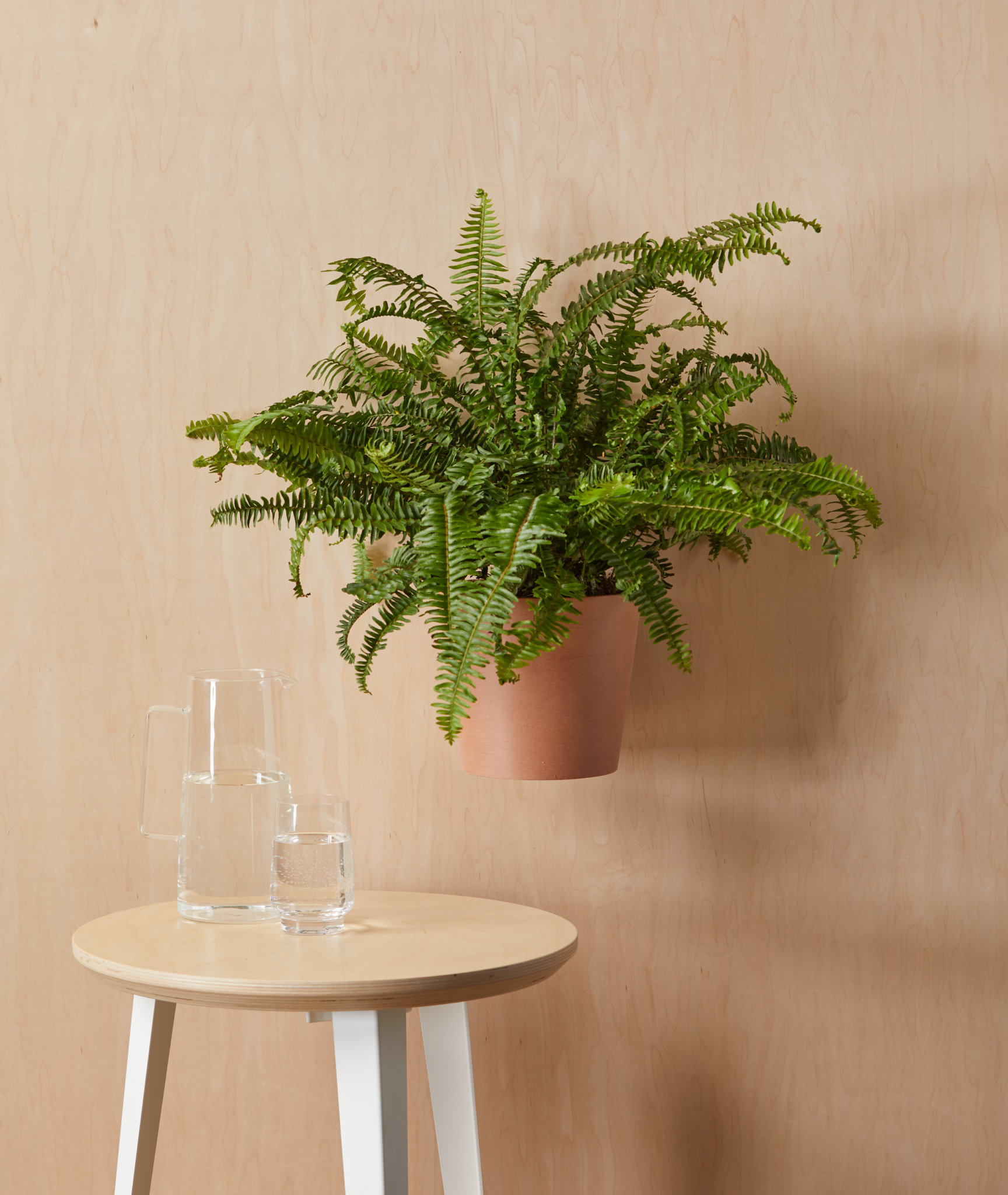 Shop Recycled Plastic Pots for Indoor and Outdoor Plants | Bloomscape