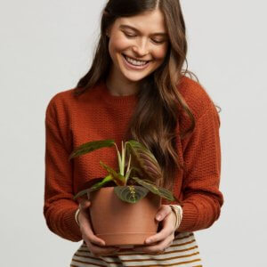 Bloomscape | Home-Ready Plants Delivered