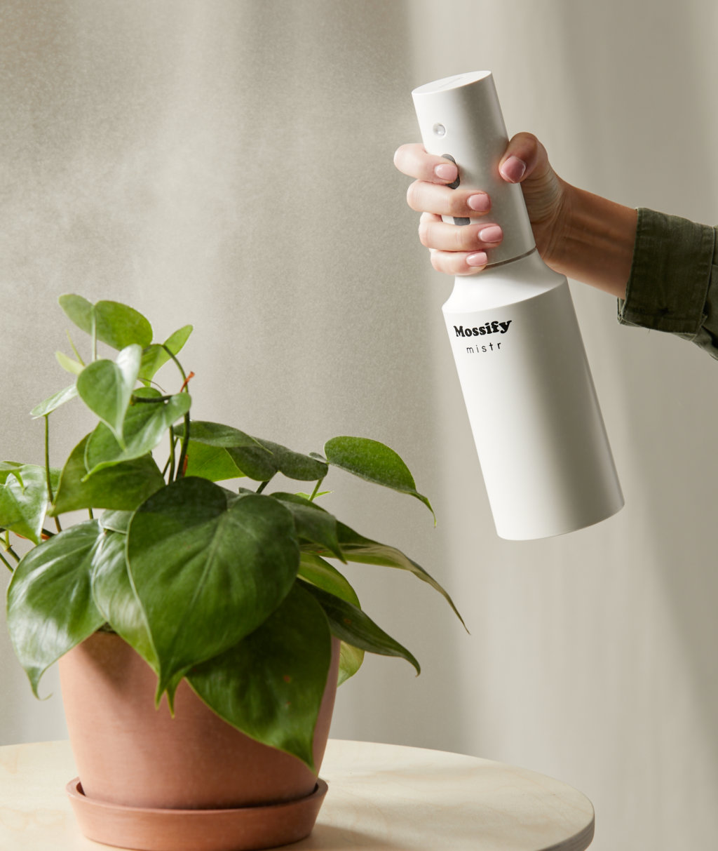 Buy Automatic Continuous Plant Mister | Bloomscape