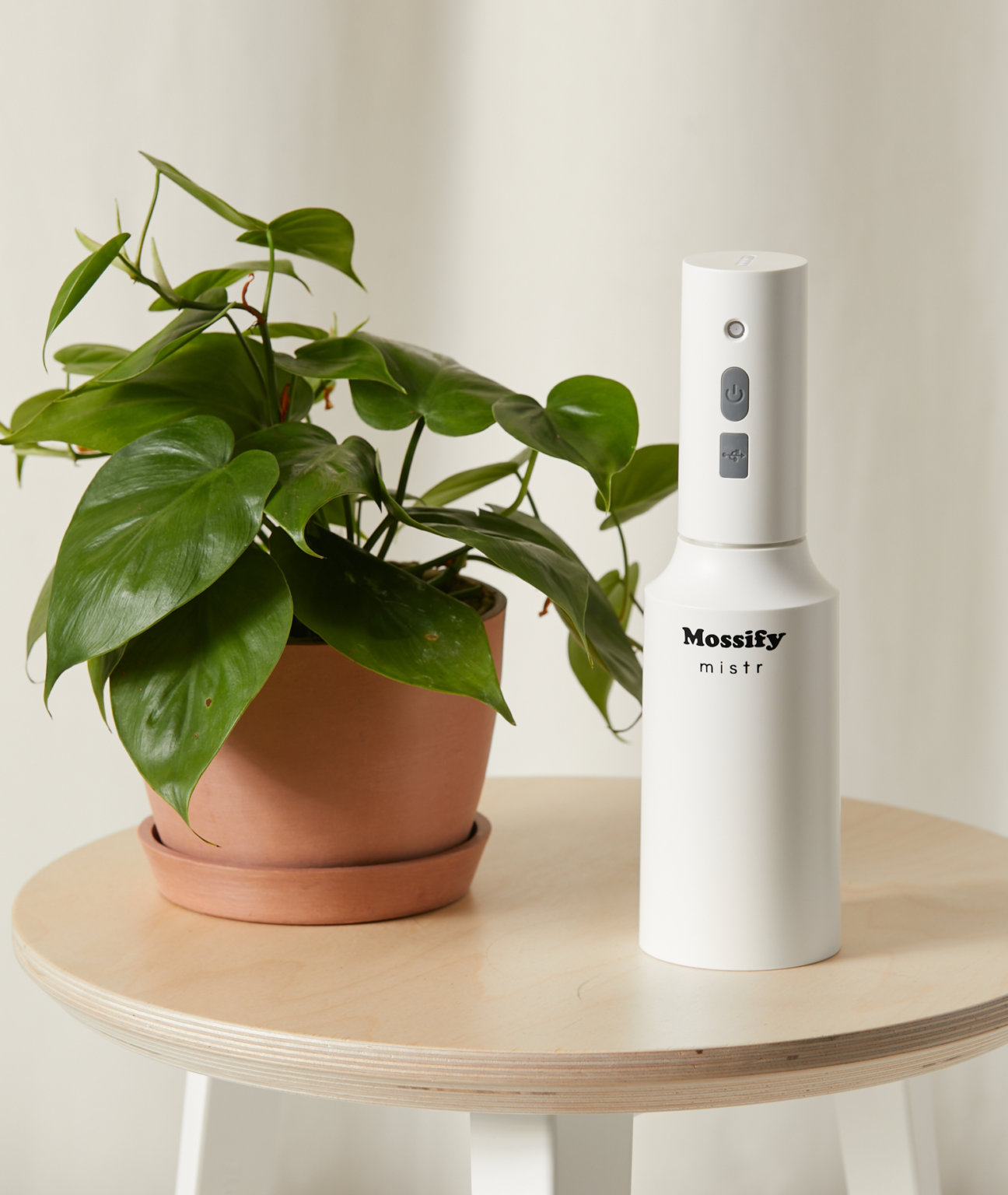 Buy Automatic Continuous Plant Mister | Bloomscape