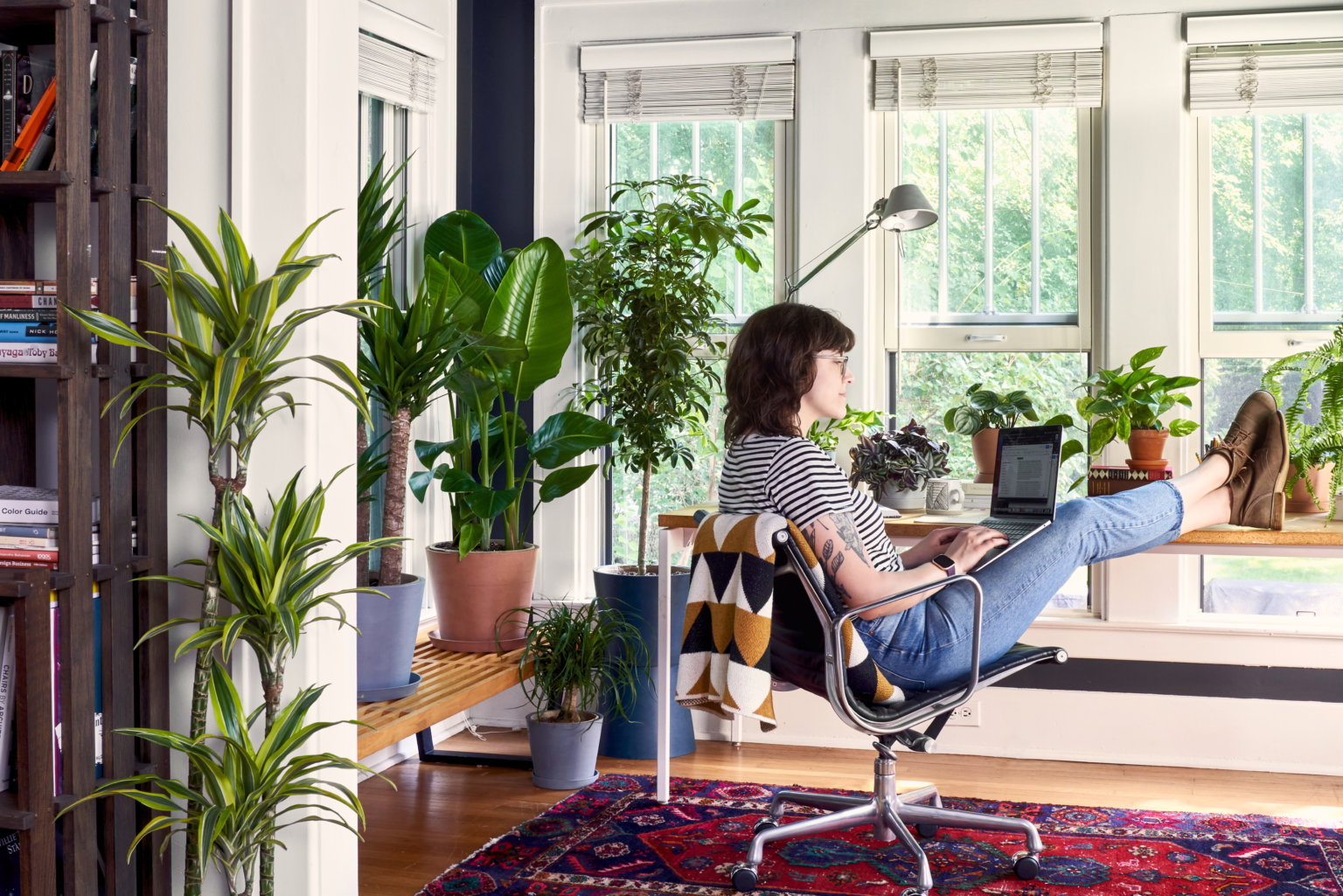 Indoor & Outdoor Houseplant Care Basics | Bloomscape