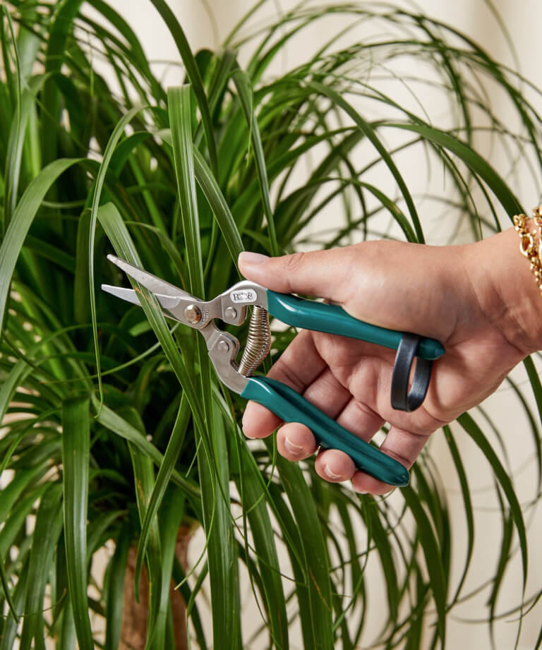 Buy Complete Gardening Tool Set for Indoor Plants – Gift Set | Bloomscape