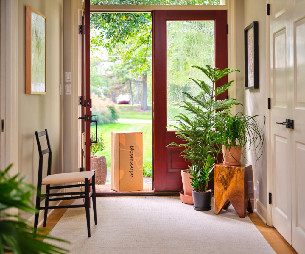 Welcoming Your New Plant Home | Bloomscape