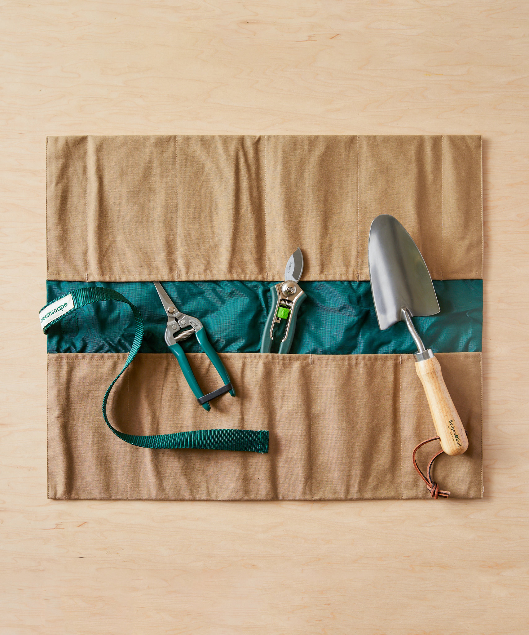 Grow-How® Tip: Why Is My Plant Dropping Leaves? - Bloomscape