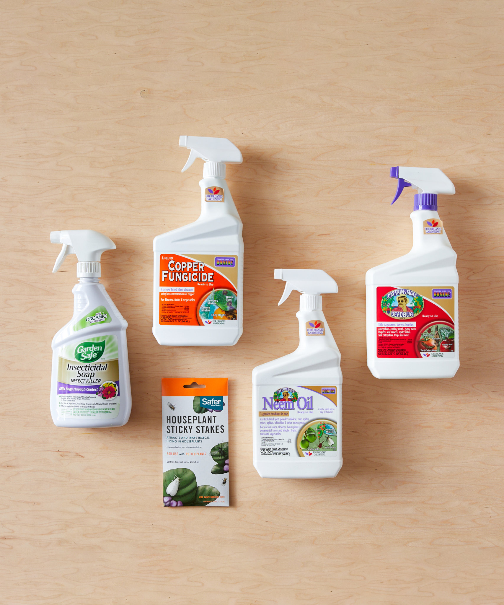 Buy Garden Pest Control Set for Indoor Plants – Gift Set | Bloomscape