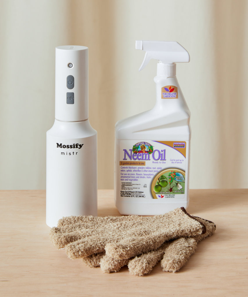 Grow-How® Tip: Why Is My Plant Dropping Leaves? - Bloomscape