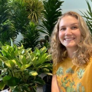 Shop New Indoor Houseplants