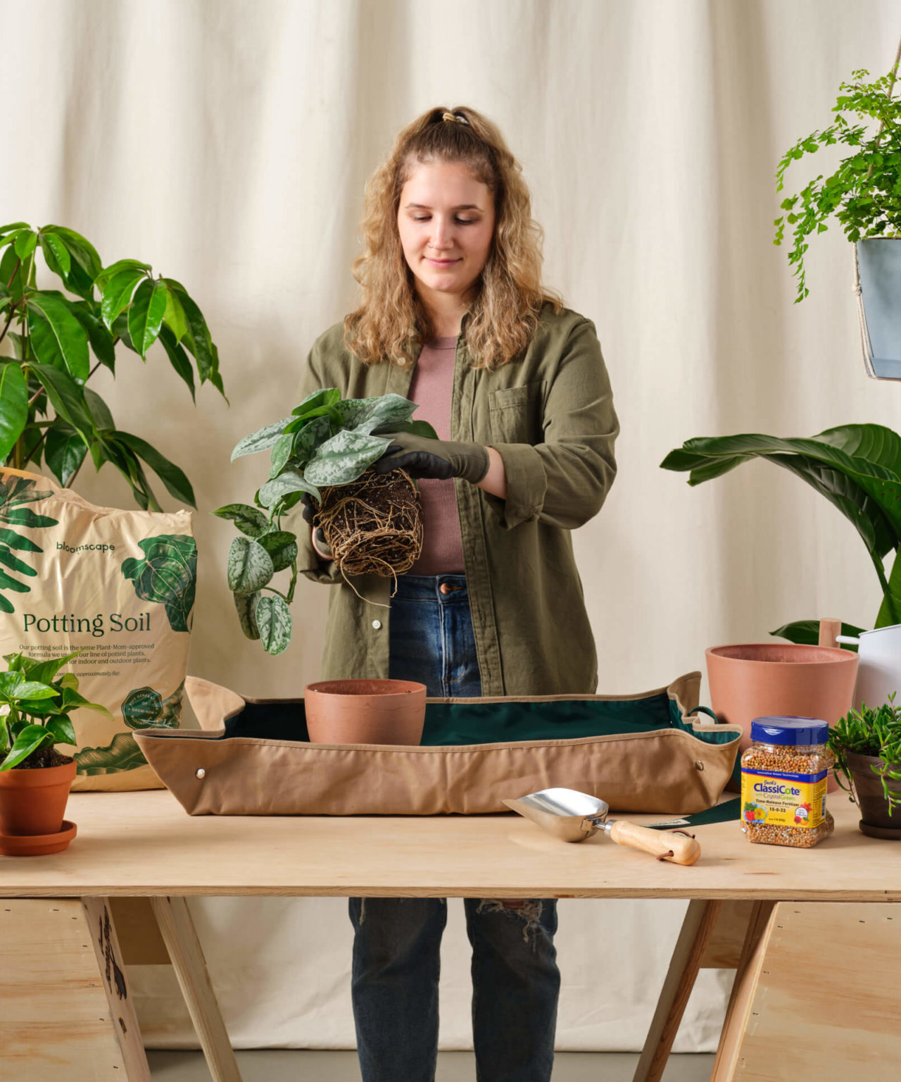 Buy Repotting Kit with 10” Pot and Soil for Indoor Plants | Bloomscape