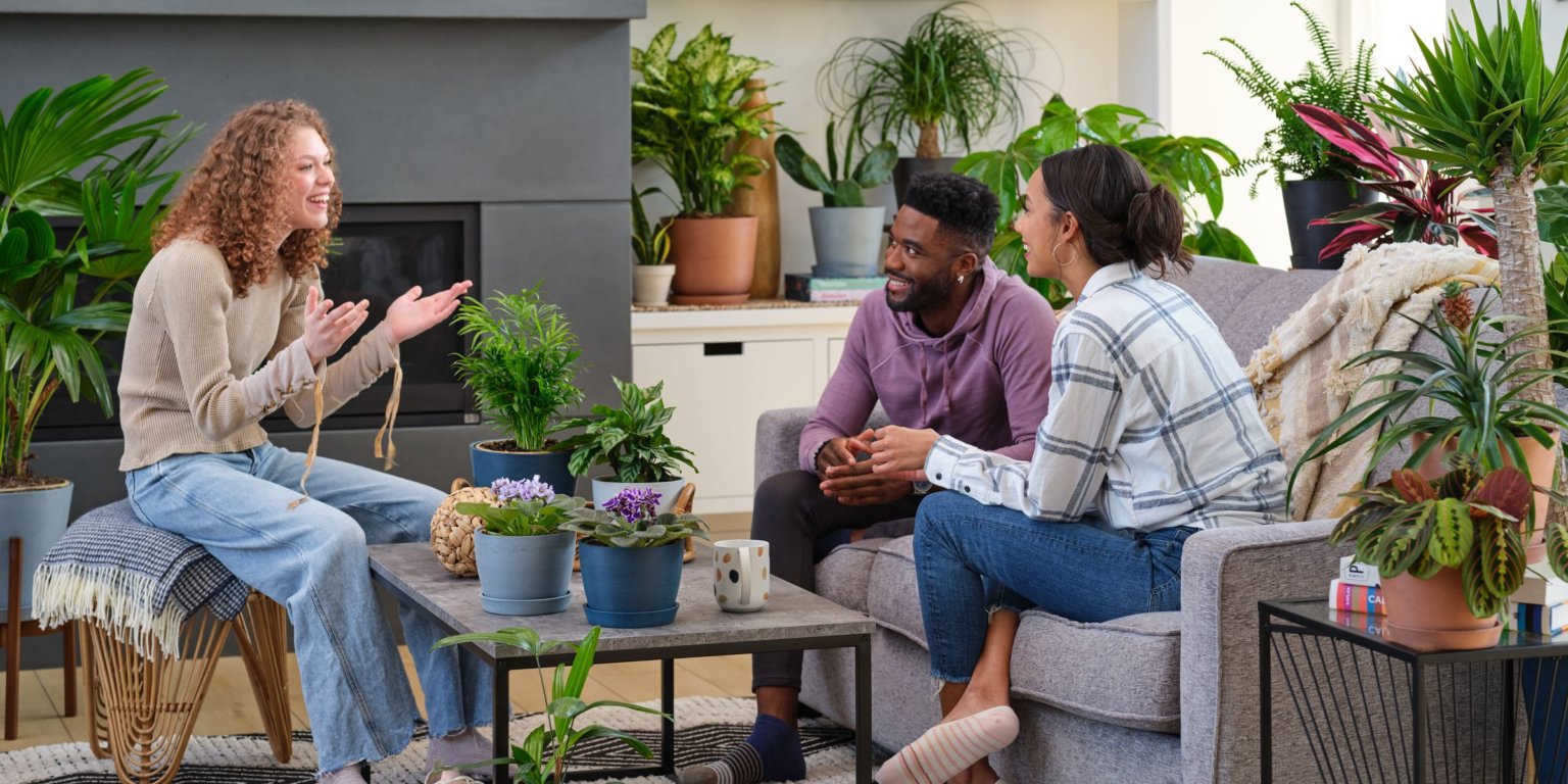 Bloomscape | Home Ready Plants Delivered to Your Door
