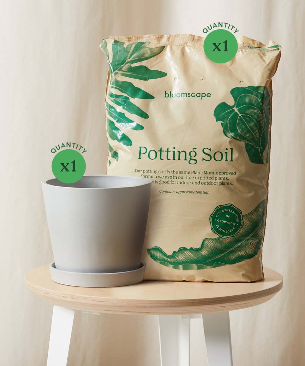 How to Repot Your Houseplants | Bloomscape