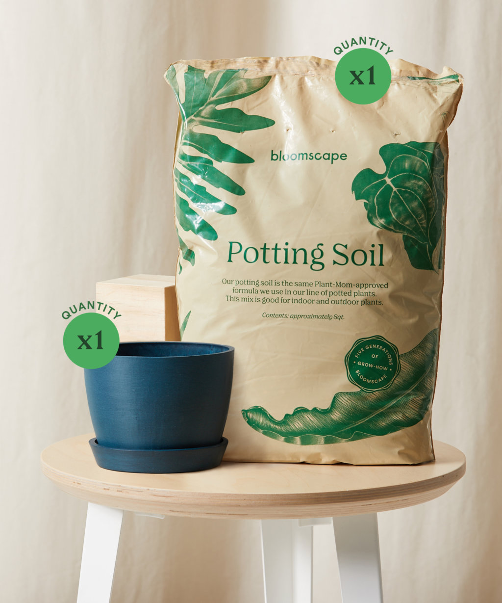 Buy Repotting Kit with 6” Pot and Soil for Indoor Plants| Bloomscape