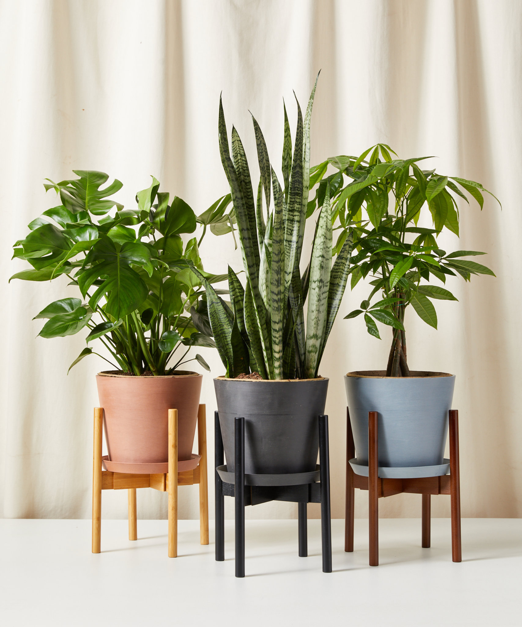 Shop Indoor Plant Care Accessories | Bloomscape