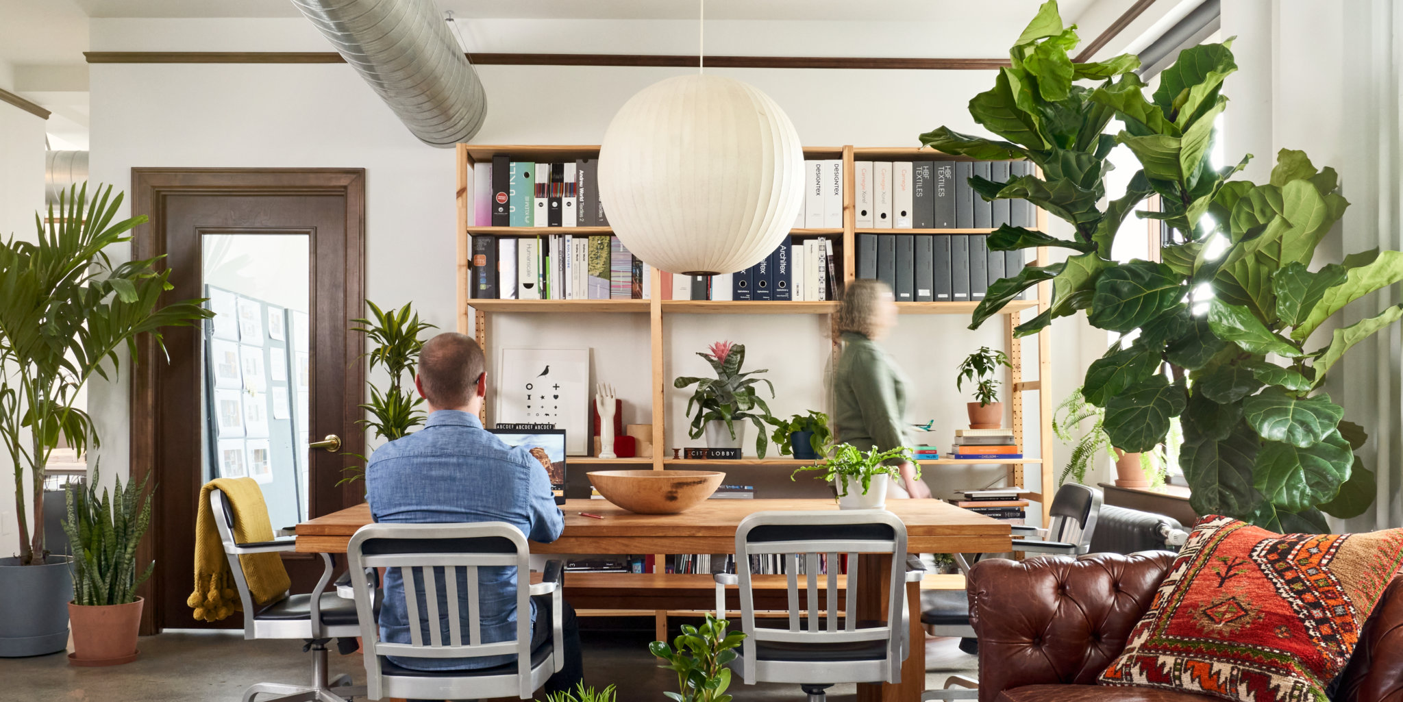 Bloomscape | Home Ready Plants Delivered to Your Door