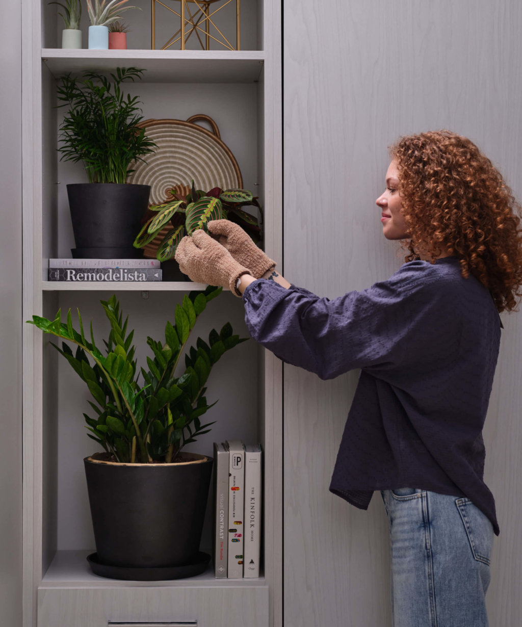 Fern 101: How to Care for Ferns | Bloomscape