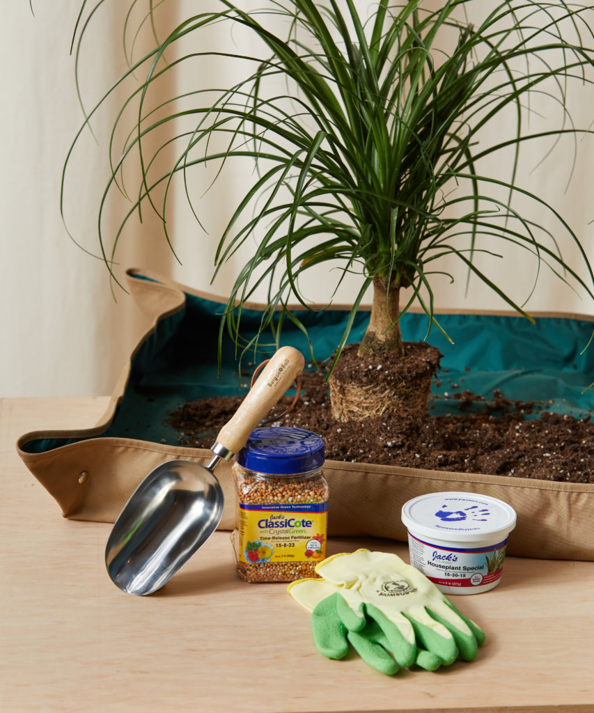 Shop Plant Care Essentials for Indoor Plants | Bloomscape