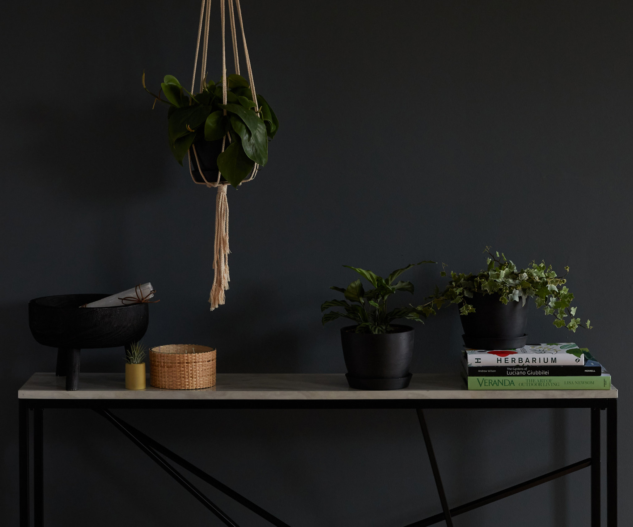 Grow-How® Tip: Why Is My Plant Dropping Leaves? - Bloomscape