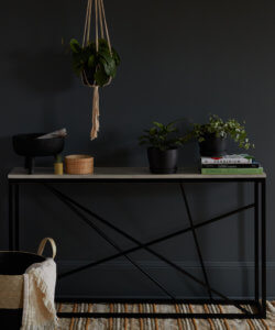 Buy the Low Light Bundle with two trendy plants | Bloomscape