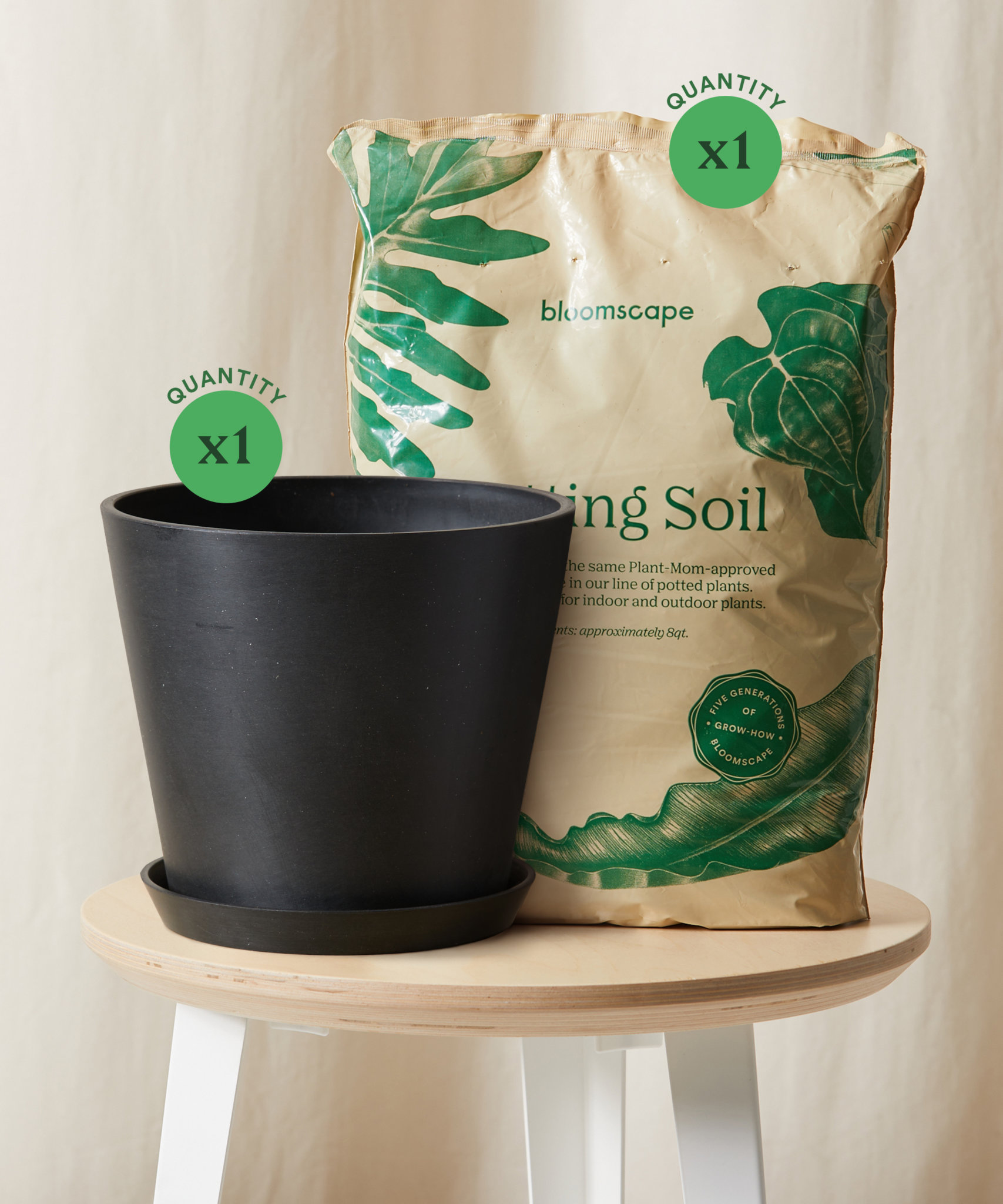 Premium Pots for Indoor and Outdoor Plants | Bloomscape