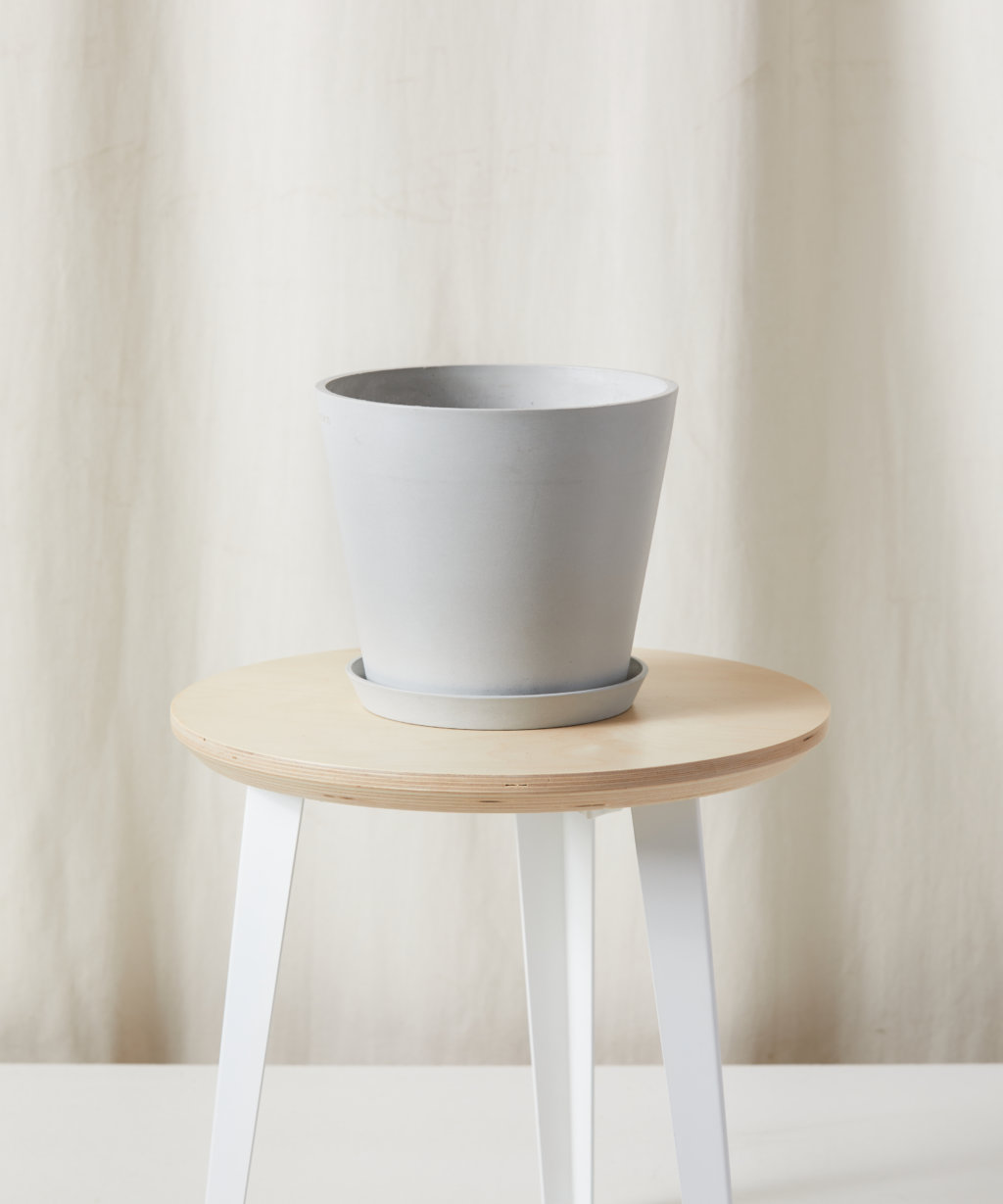 How to Repot Your Houseplants | Bloomscape