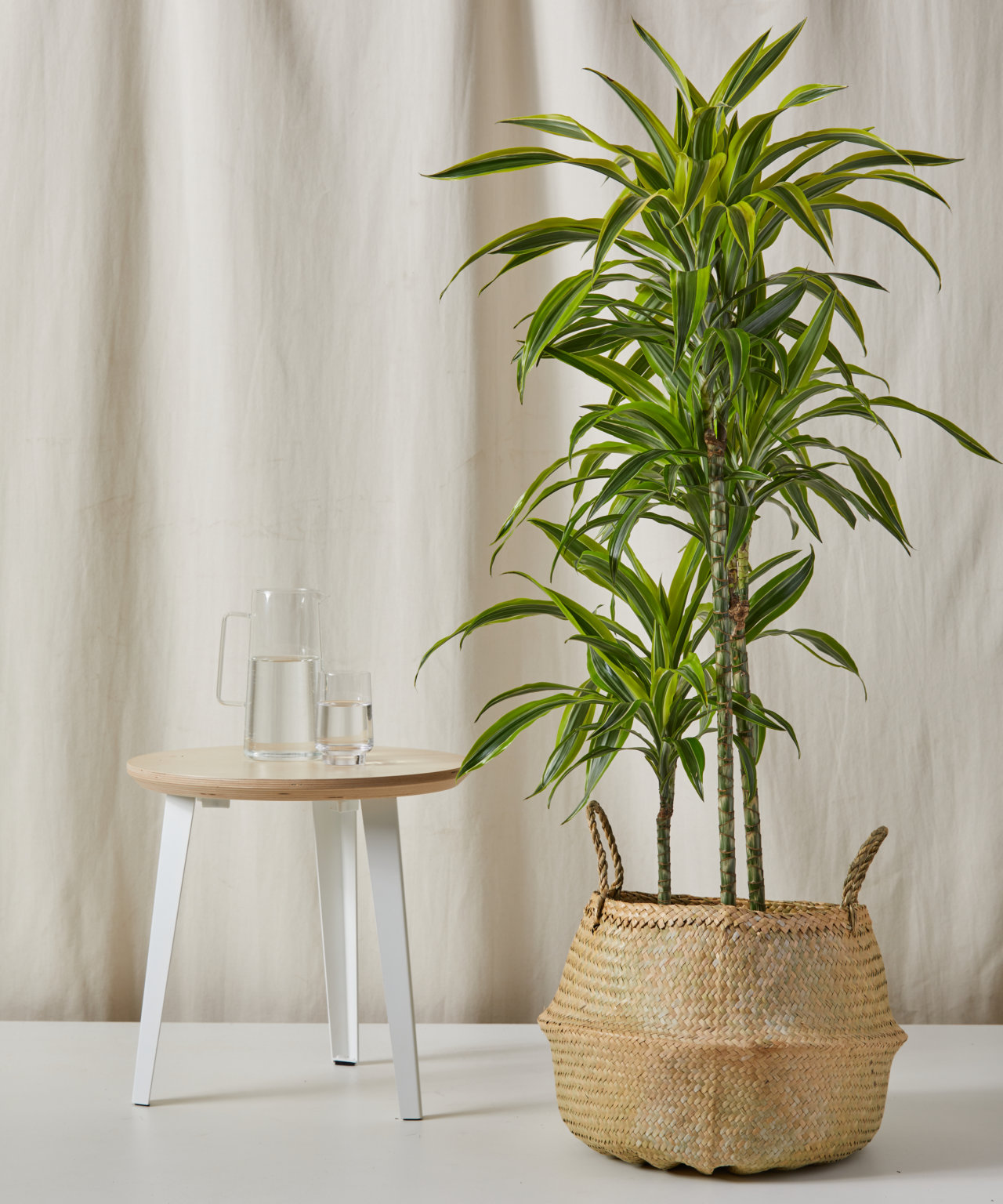 Buy Natural Wicker Basket (XL-XXL) | Bloomscape