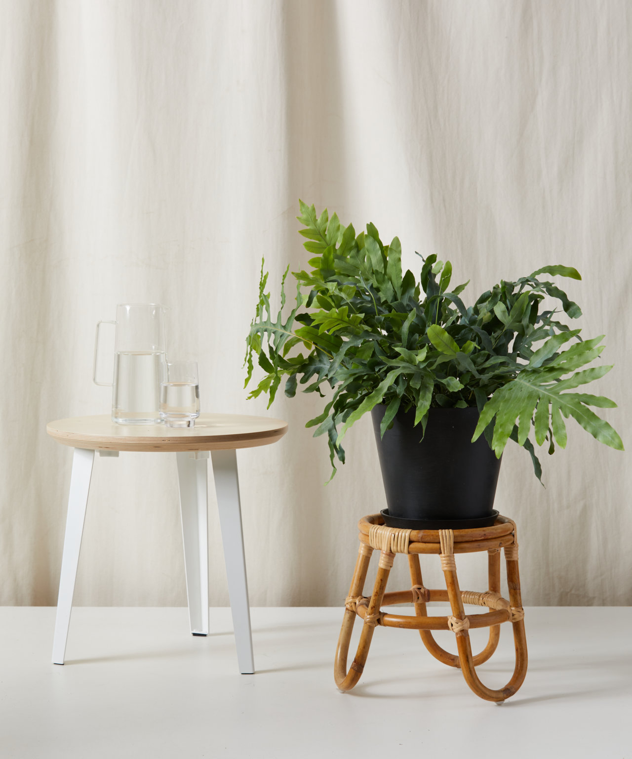 Buy Rattan Plant Stand | Bloomscape