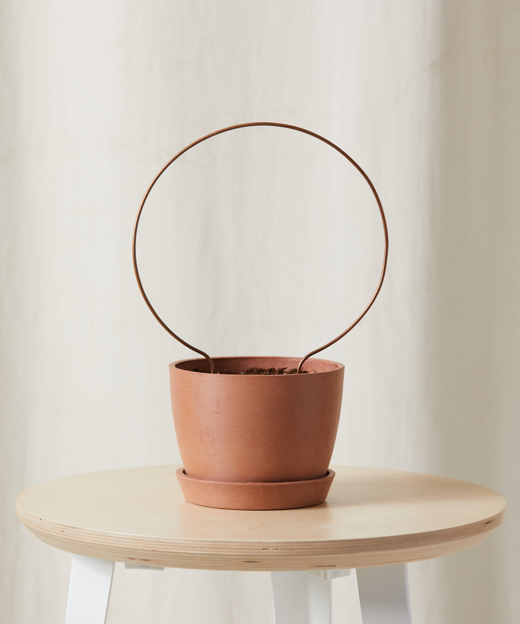 Buy Round Plant Trellis - 12" | Bloomscape