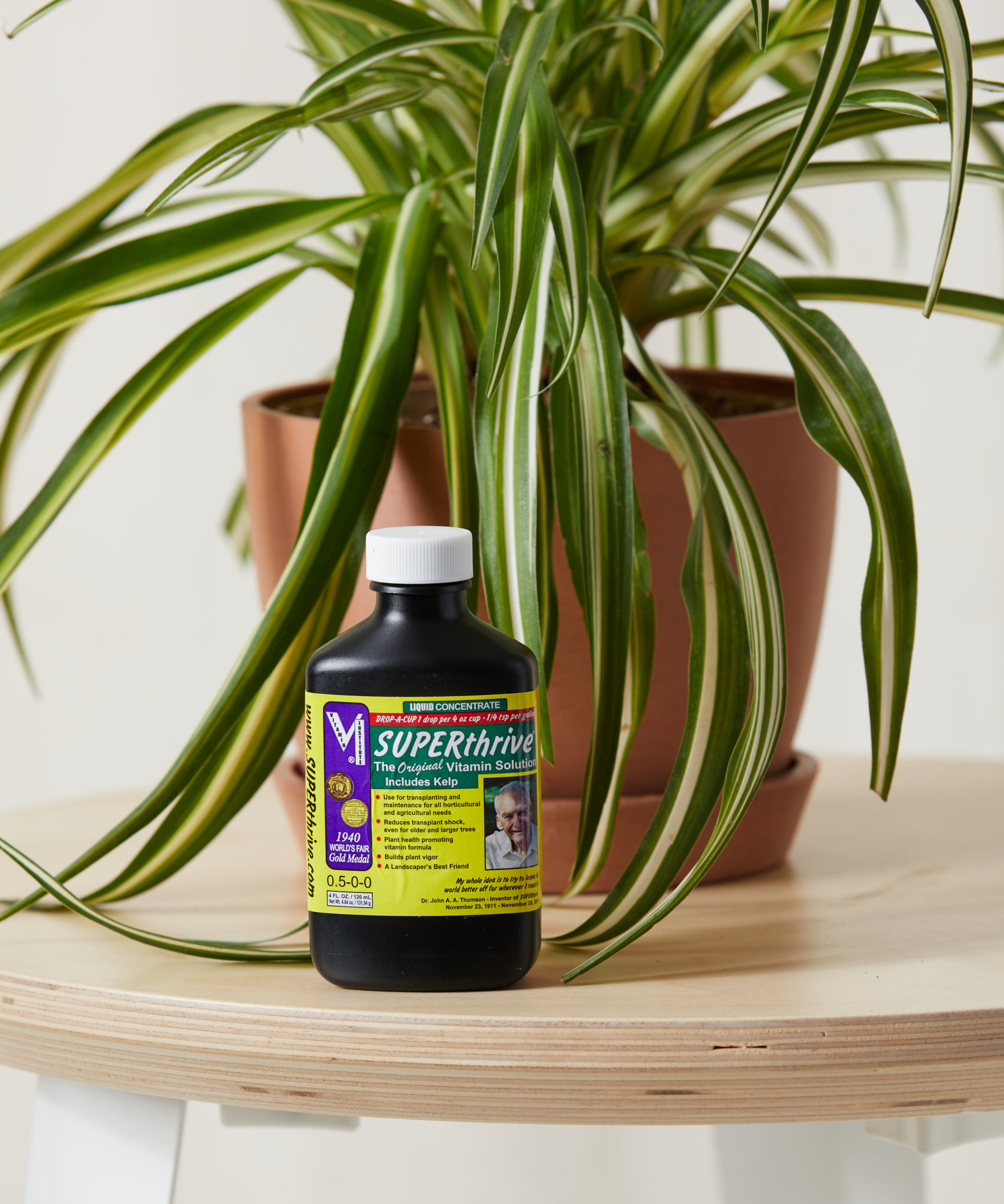 Buy Superthrive for Indoor Plants | Bloomscape