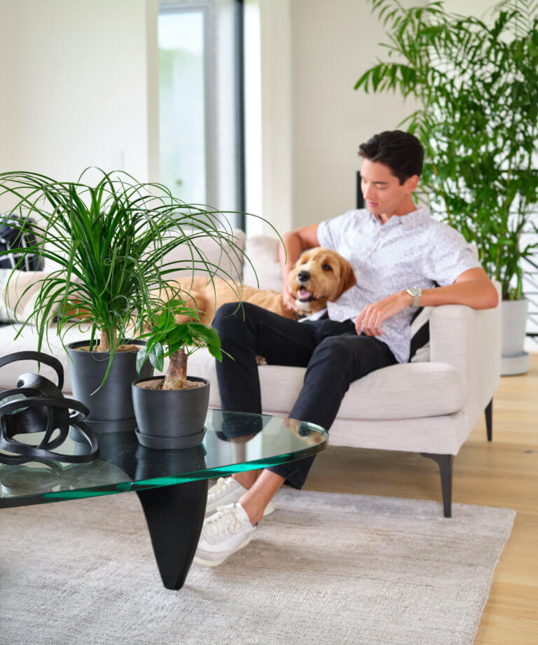 Indoor Plant Collections and bundles | Bloomscape