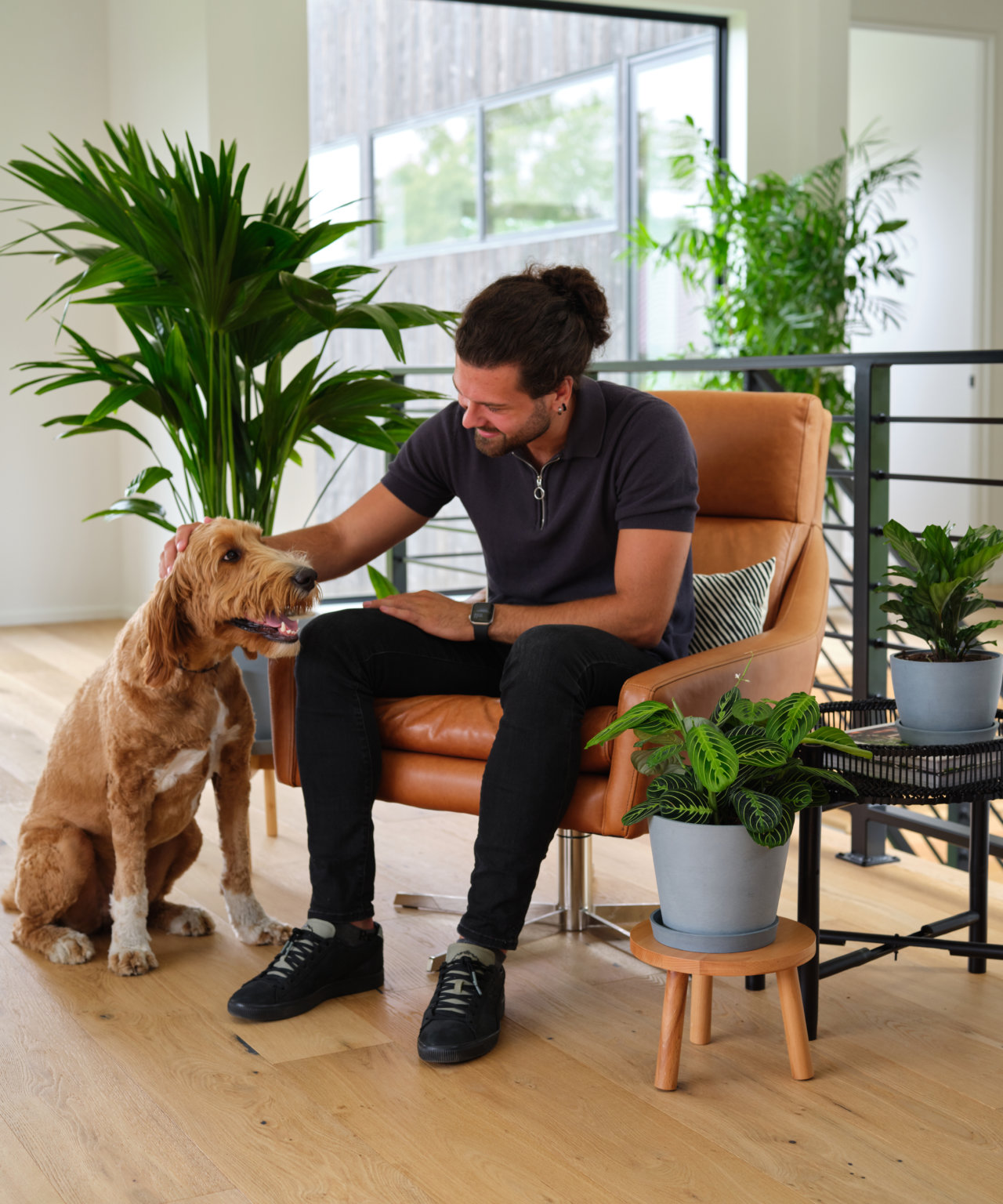 Shop Indoor Plants, Outdoor Plants, Plant Care Supplies | Bloomscape