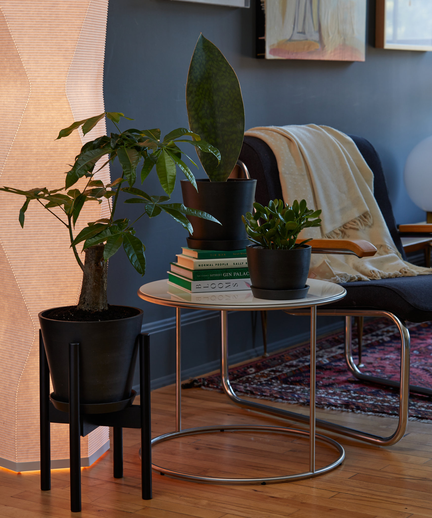 Plant Life - The Bloomscape Blog